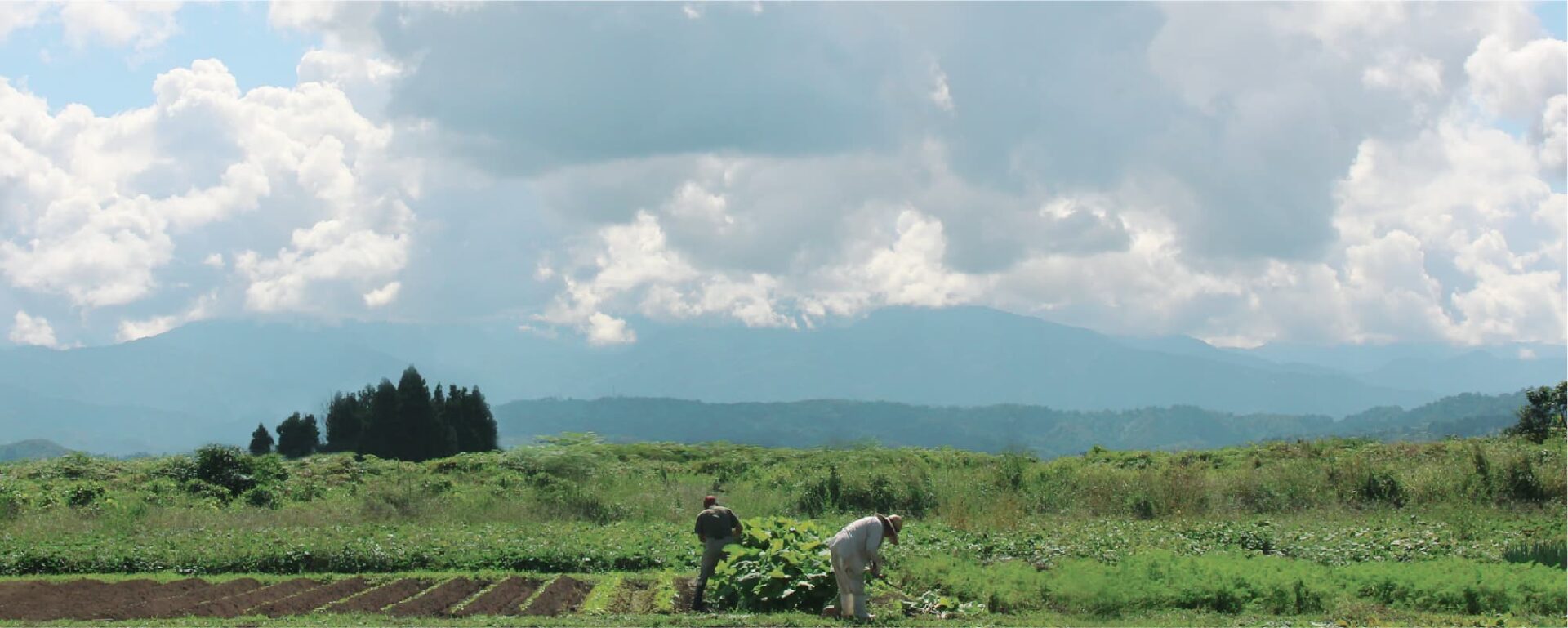 ABOUT – FARM8 | 地域を食べるをデザインする